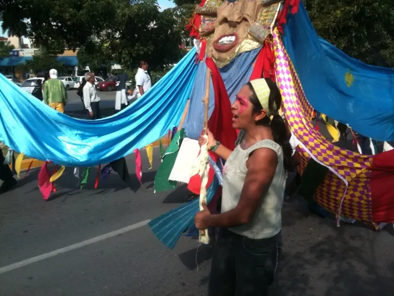 Event in Brasilia discusses the Escazú Agreement - Plataforma CIPÓ