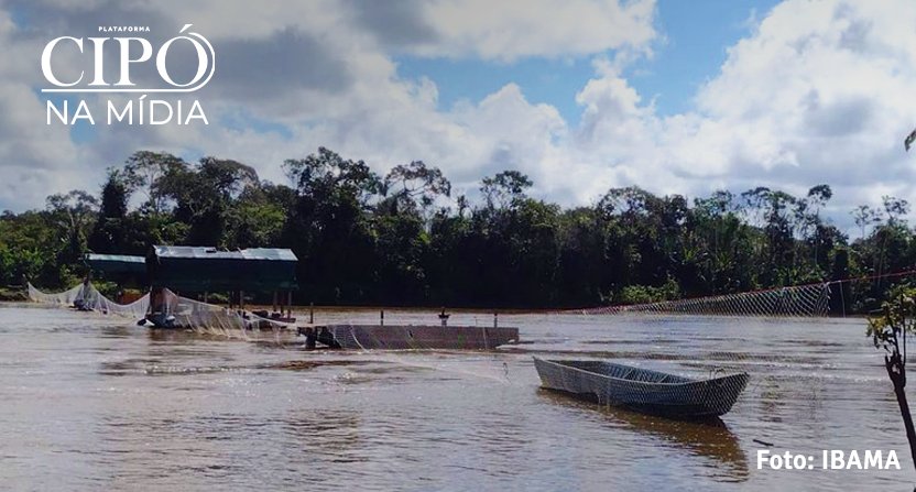 CIPÓ analisa o papel do Ibama no Ecoa (UOL) - Plataforma CIPÓ
